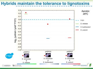 Artificial hybrids & biofuels | PDF