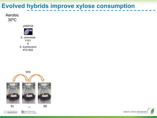 Artificial hybrids & biofuels | PDF