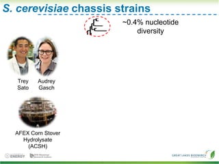 Artificial hybrids & biofuels | PDF