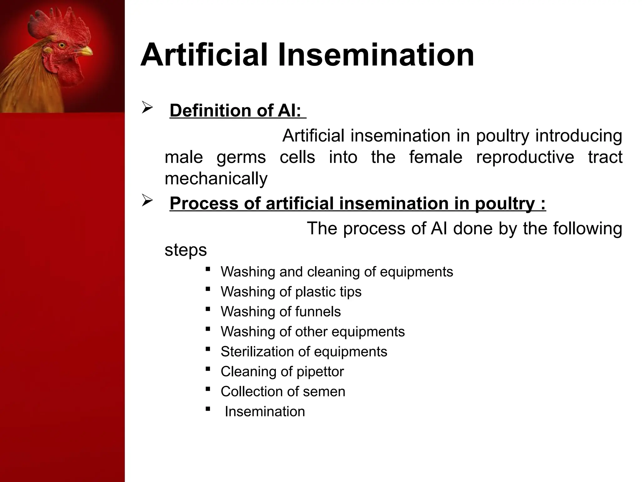 Artificial Insemination in poultry (1).pptx