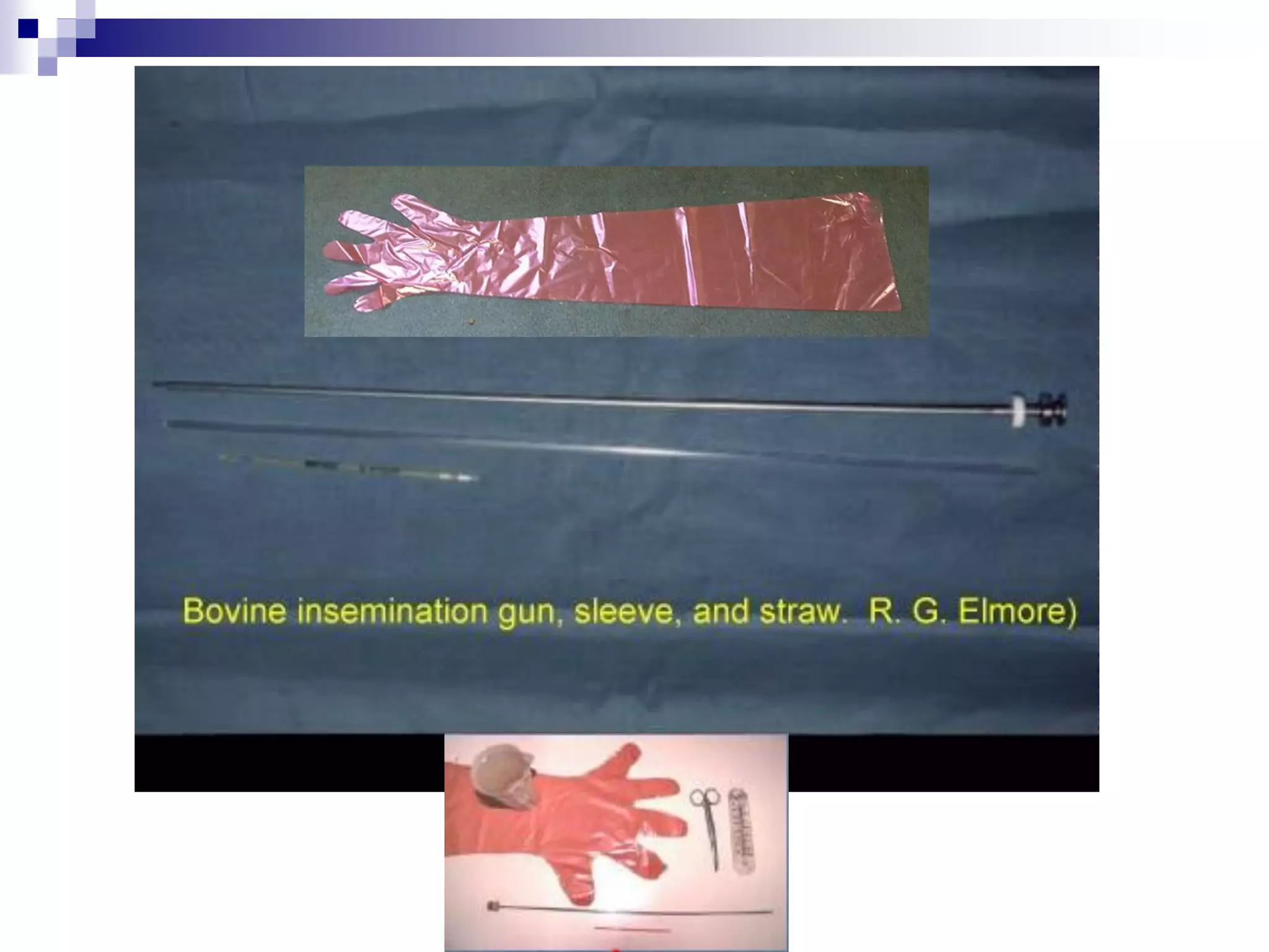 Artificial insemination equipment | PDF