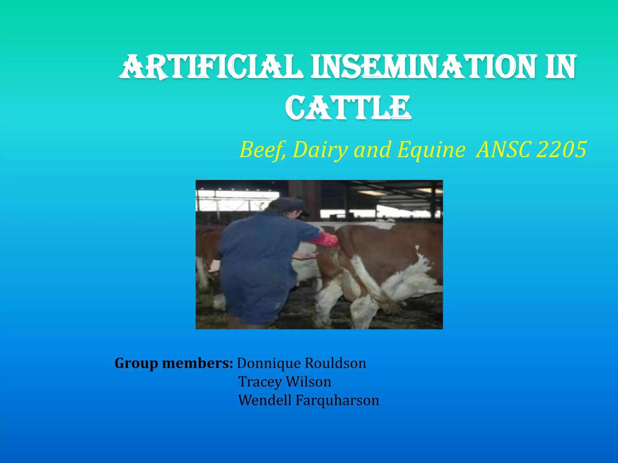 Artificial insemination in cattle | PPTX