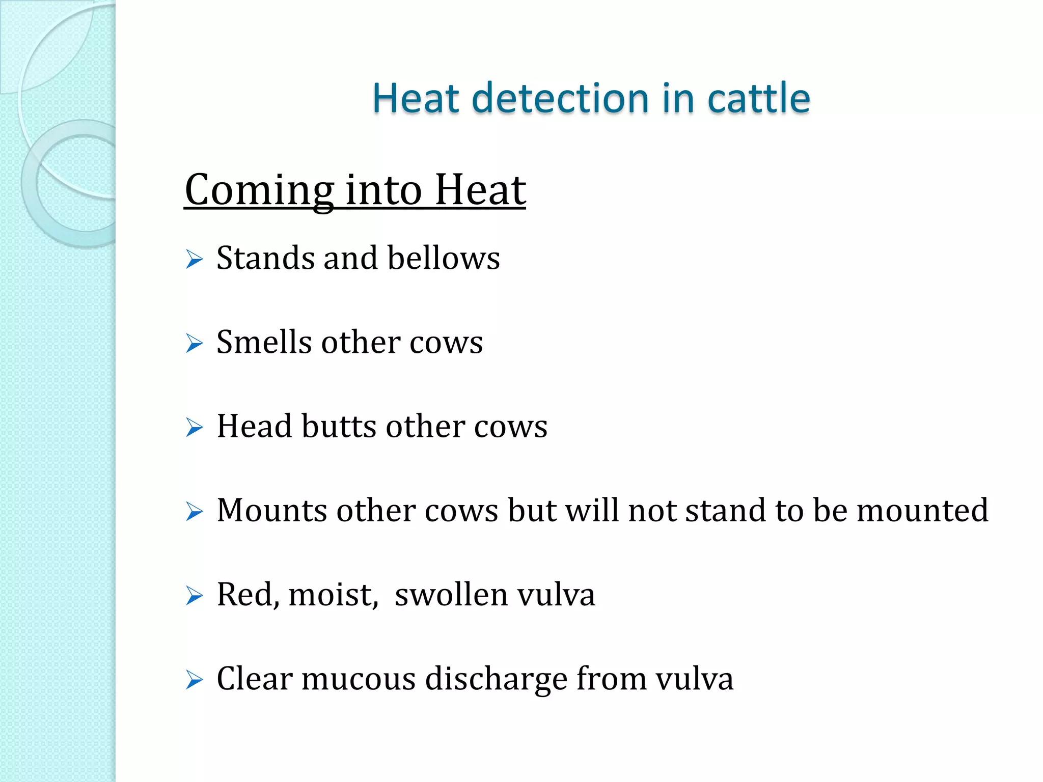 Artificial insemination in cattle | PPTX