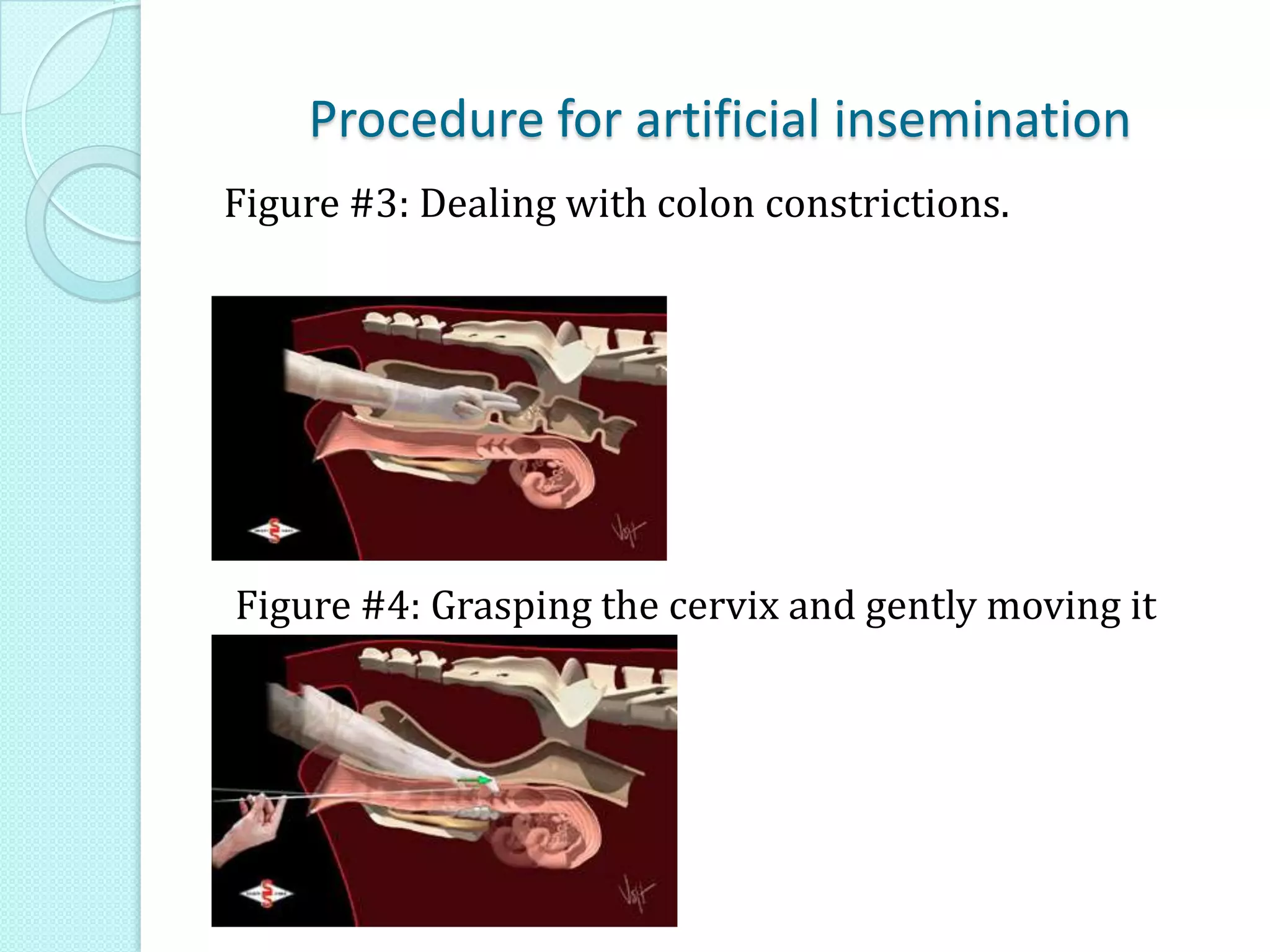 Artificial insemination in cattle | PPTX