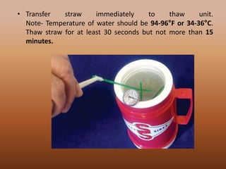 ARTIFICIAL INSEMINATION IN CATTLE.ppt