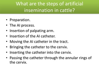 Artificial Insemination in Cattle.pdf.pptx