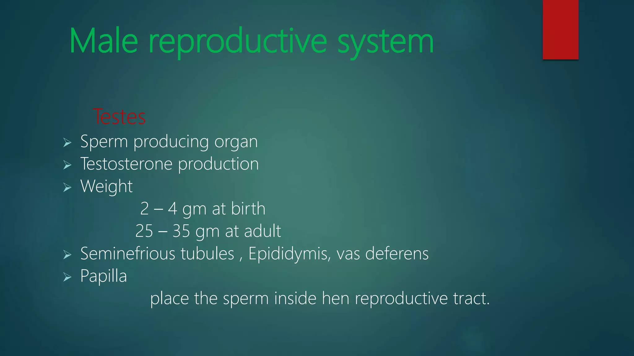 Artificial insemination in Poultry | PPTX