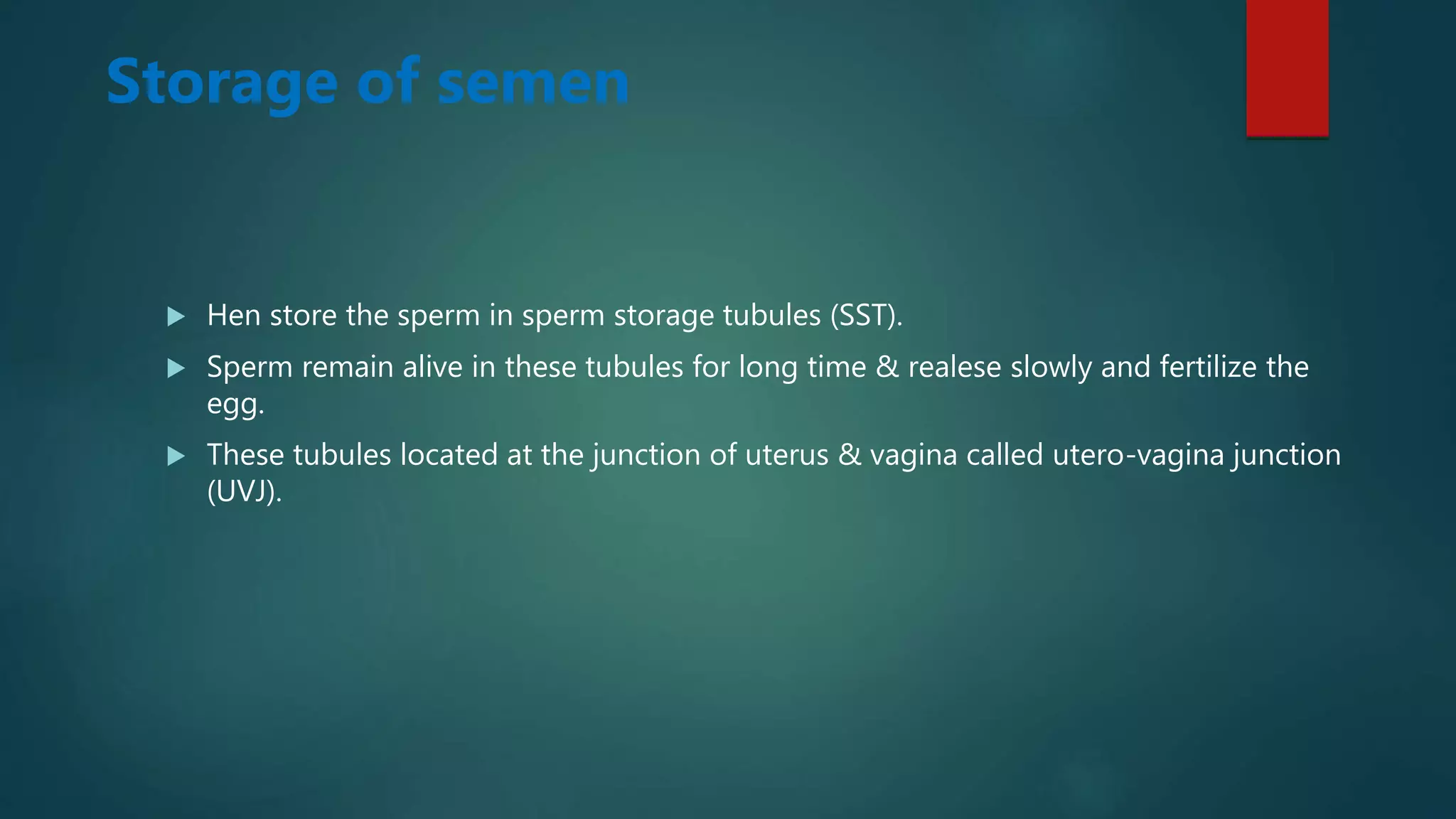 Artificial insemination in Poultry | PPTX