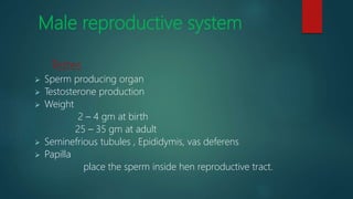 Artificial insemination in Poultry | PPTX