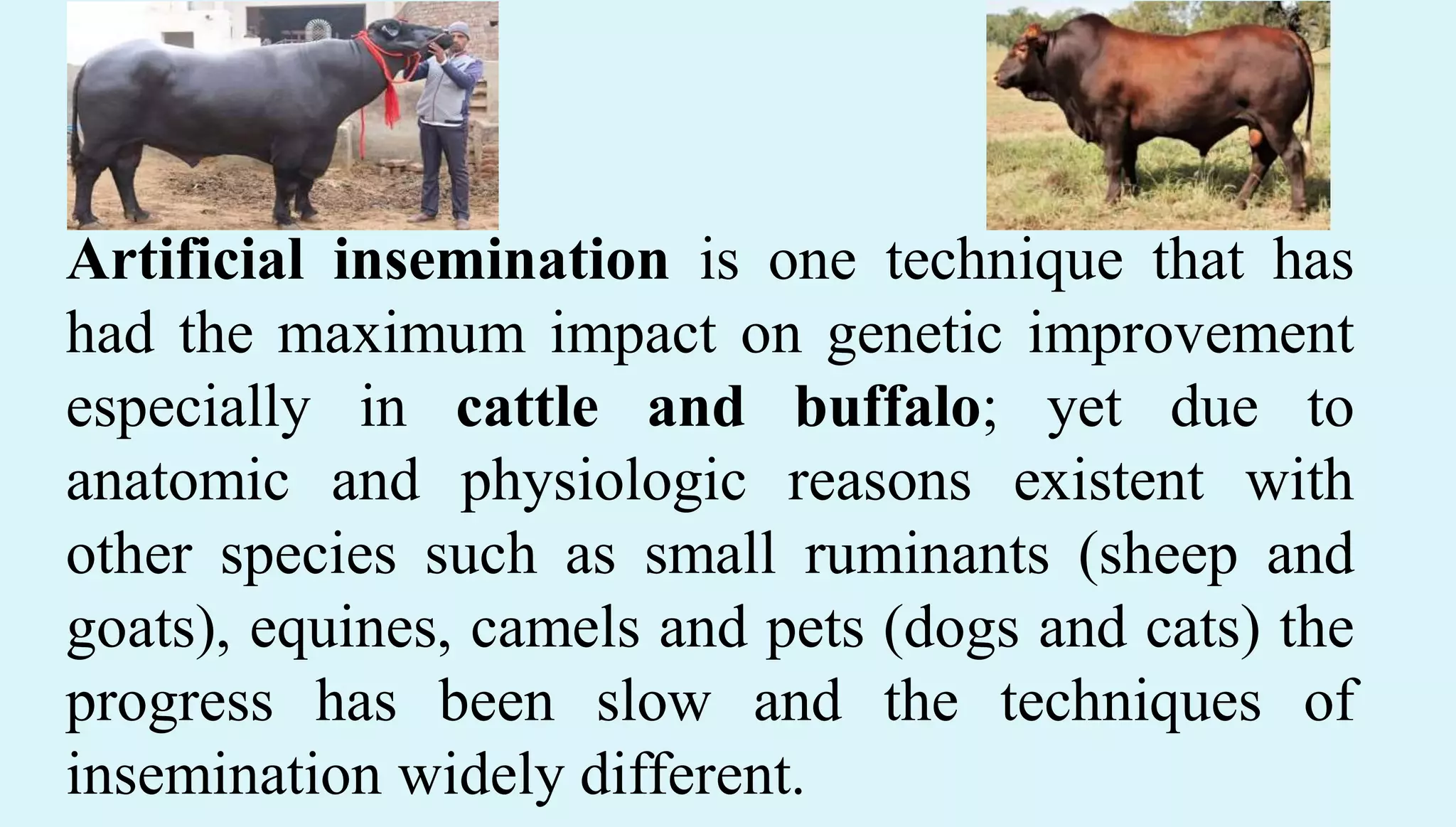 Artificial insemination techniques in farm and pet animals | PDF