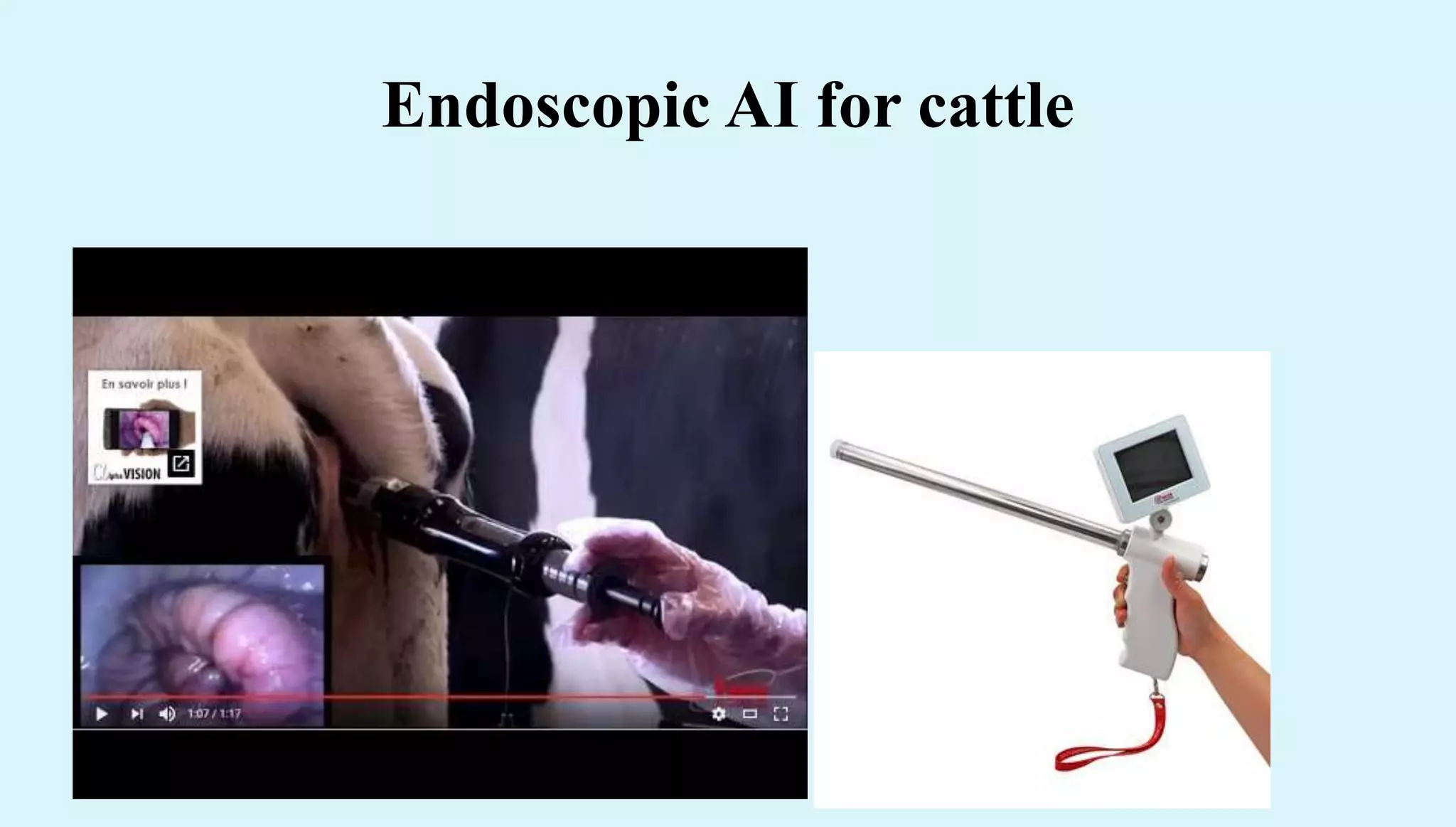 Artificial insemination techniques in farm and pet animals | PDF | Pregnancy | Reproductive Health