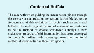 Artificial insemination techniques in farm and pet animals | PDF