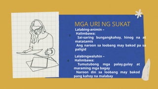 Filipino 8- Kwarter 2: Elemento ng Tula at iba pa | PPTX