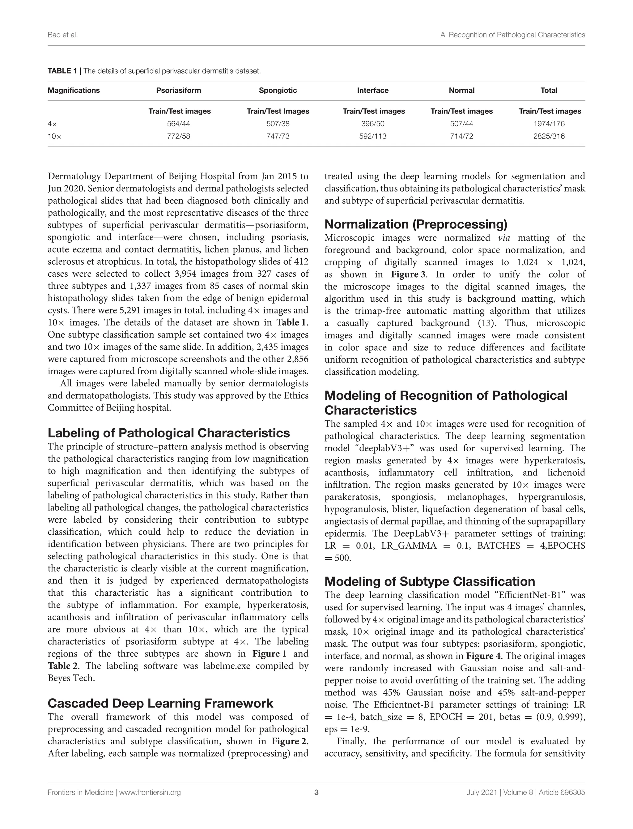 Artificial_Intelligence-Aided_Recognition_of_Patho.pdf