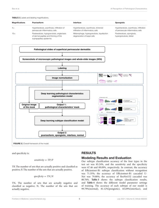 Artificial_Intelligence-Aided_Recognition_of_Patho.pdf