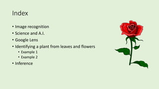 Artificial intelligence and botany | PPTX