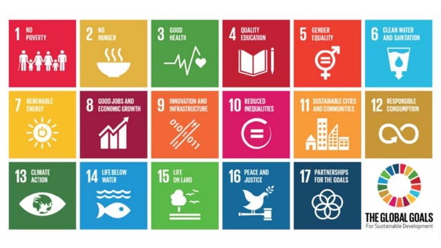 Artificial Intelligence and The Sustainable Development Goals (SDGs ...