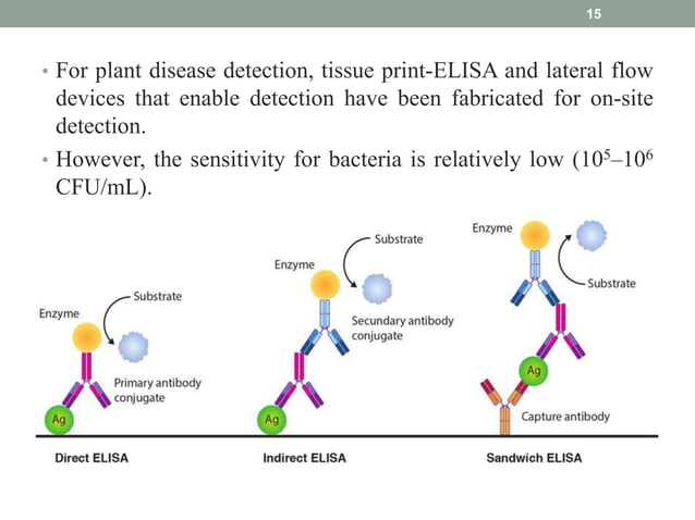 Artificial intelligence in plant disease detection | PPTX