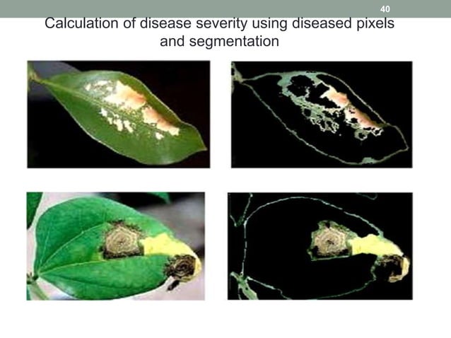 Artificial intelligence in plant disease detection | PPTX