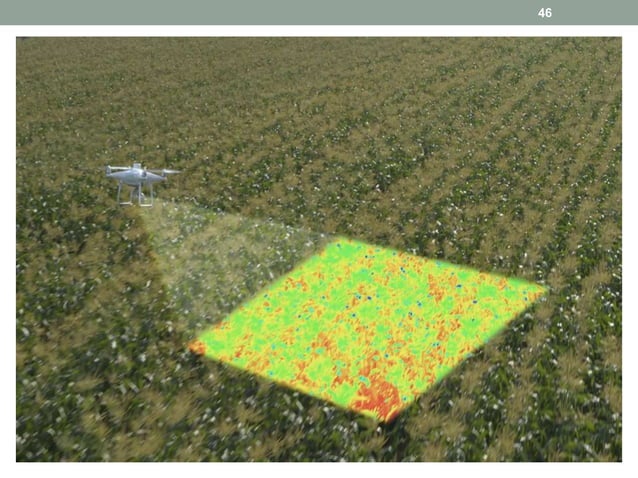Artificial intelligence in plant disease detection | PPTX