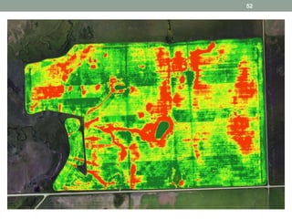 Artificial intelligence in plant disease detection | PPTX
