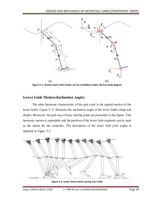 Artificial limbs report | PDF