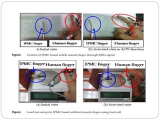EMG Driven IPMC Based Artificial Muscle Finger | PPT