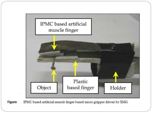 EMG Driven IPMC Based Artificial Muscle Finger | PPT
