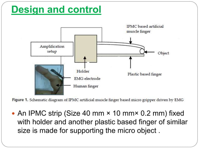 EMG Driven IPMC Based Artificial Muscle Finger | PPT