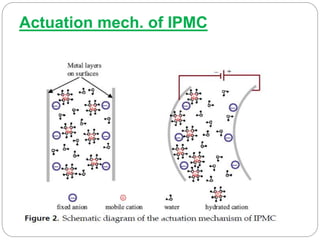 EMG Driven IPMC Based Artificial Muscle Finger | PPTX