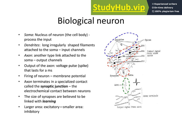 Artificial Neural Network (ANN | PDF | Computer Networking | Computing