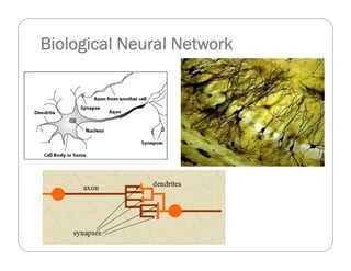 Artificial neural networks | PDF