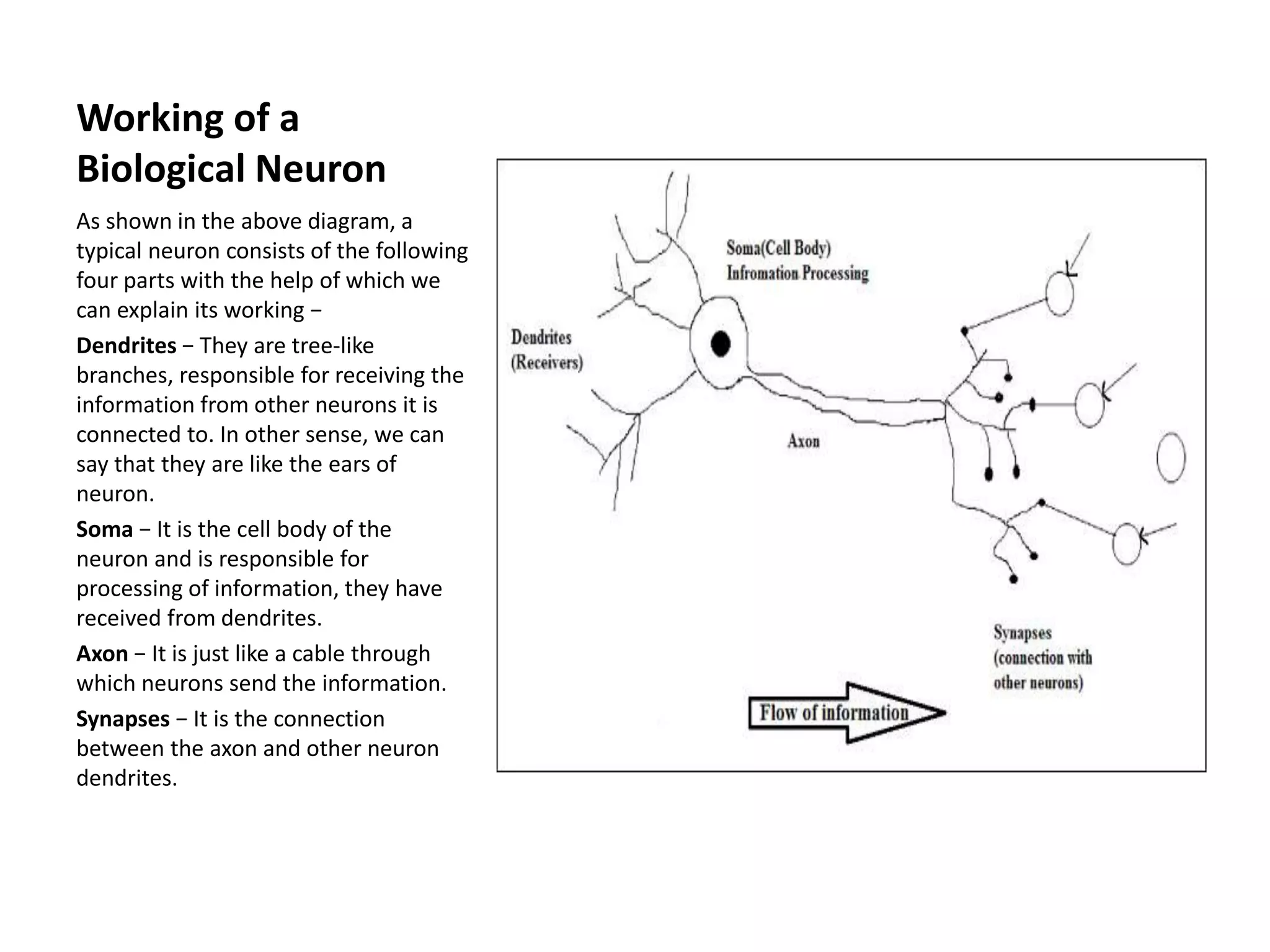 Artificial Neural Networks Pptx Computer Networking Computing