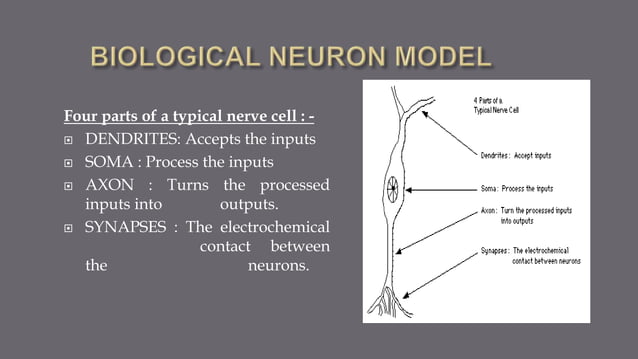 Artificial Neural Networks ppt.pptx for final sem cse | PPT