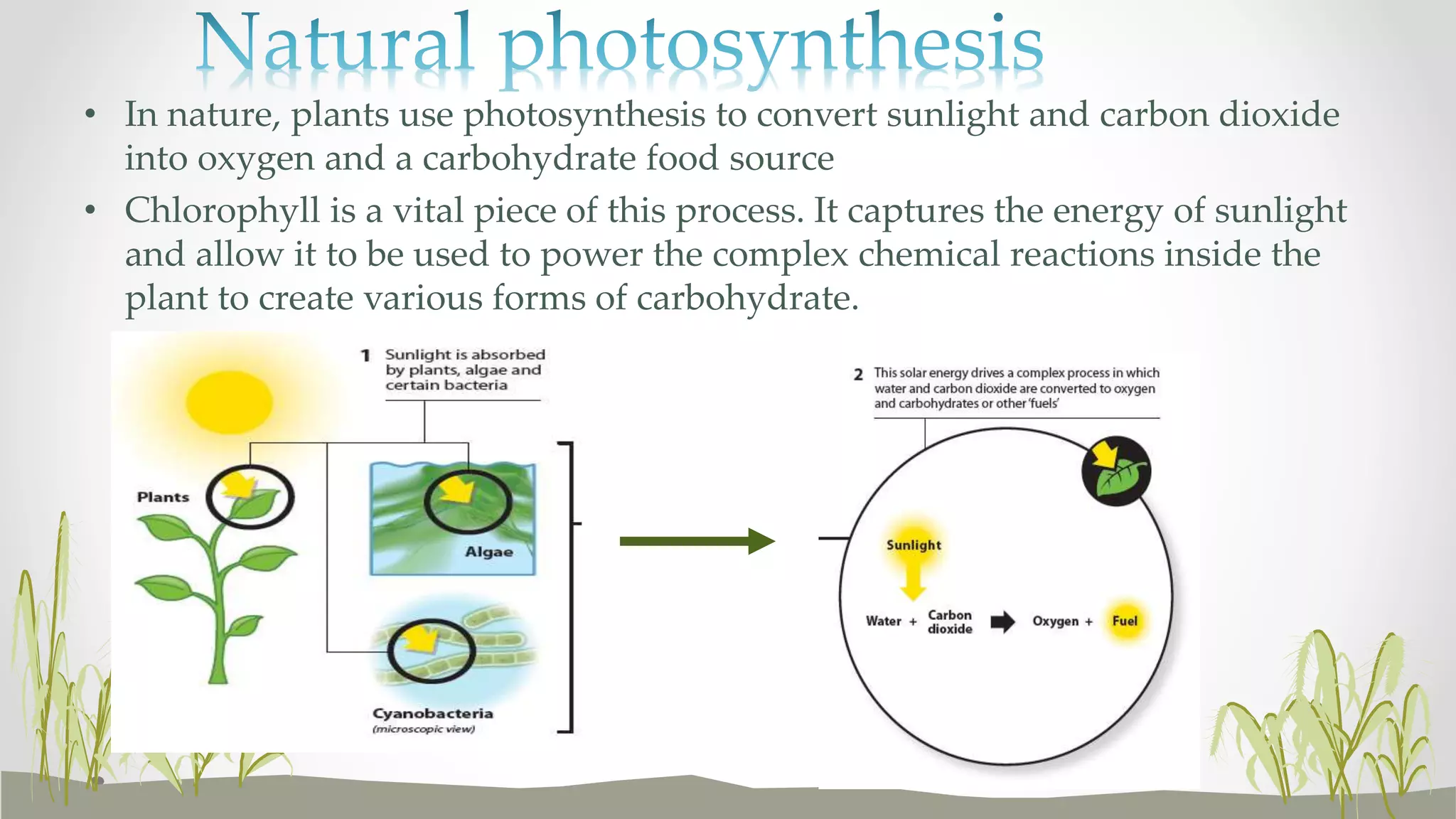 Artificial photosynthesis | PPTX