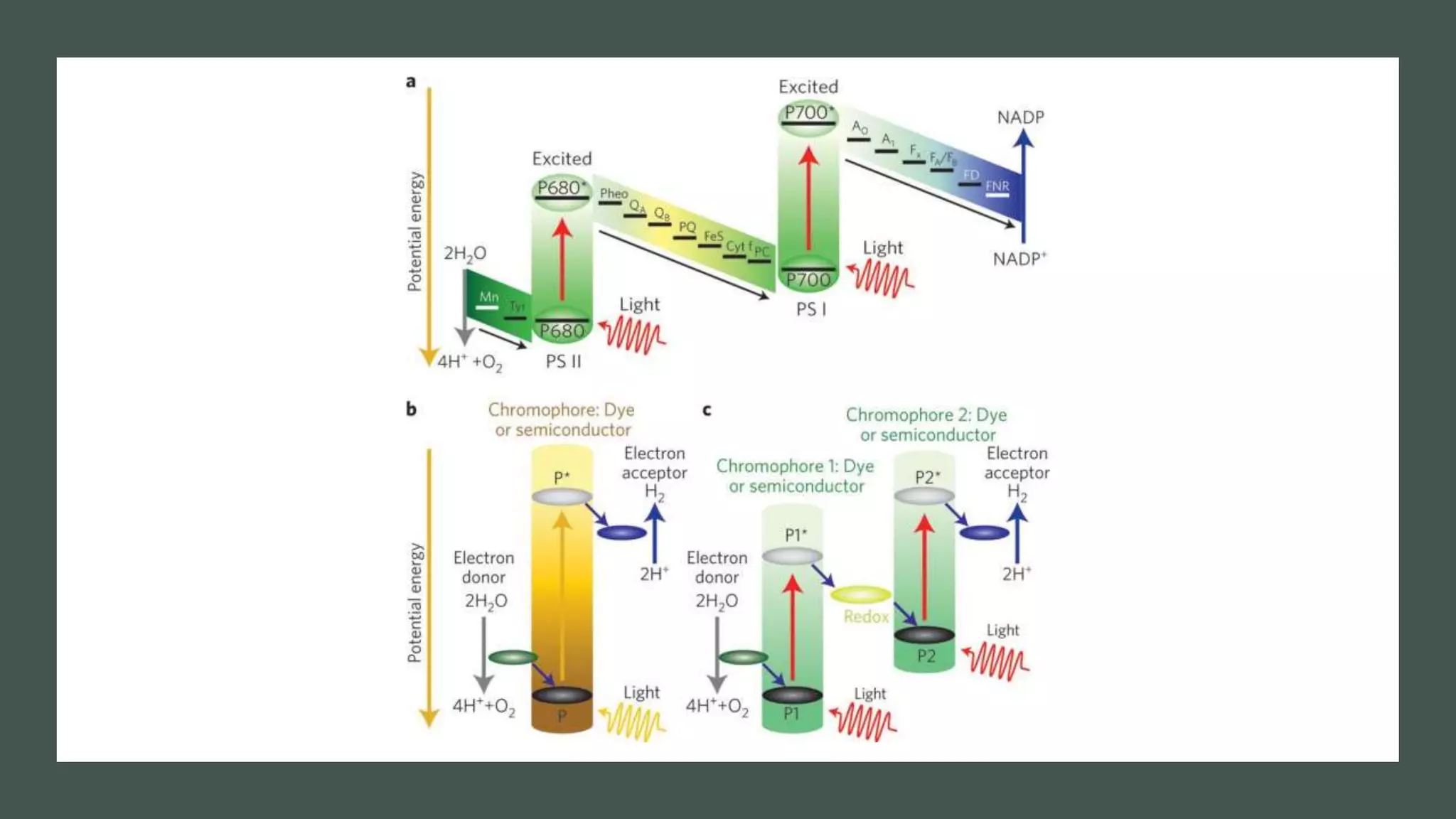 Artificial photosynthesis | PPTX