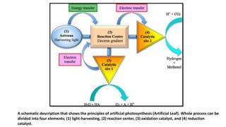 Artificial photosynthesis | PPTX