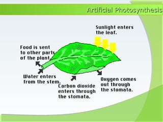 Artificial photosynthesis komal lagu_final | PPT