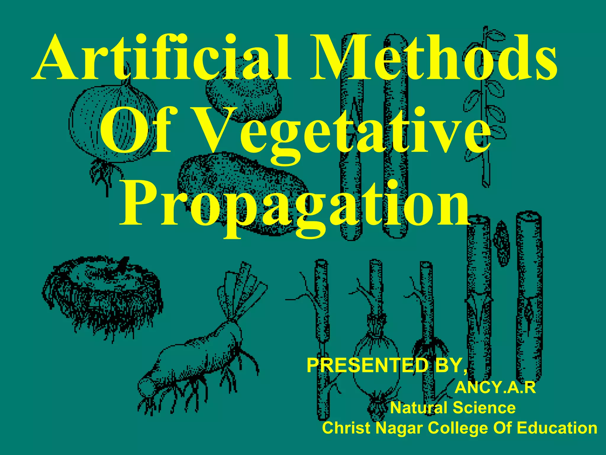 Artificial propagation | PPT