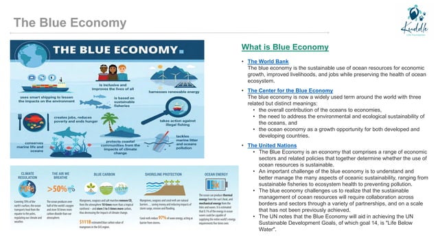 Artificial Reefs by Kuddle Life Foundation - May 2024 | PDF | Business | Business and Finance