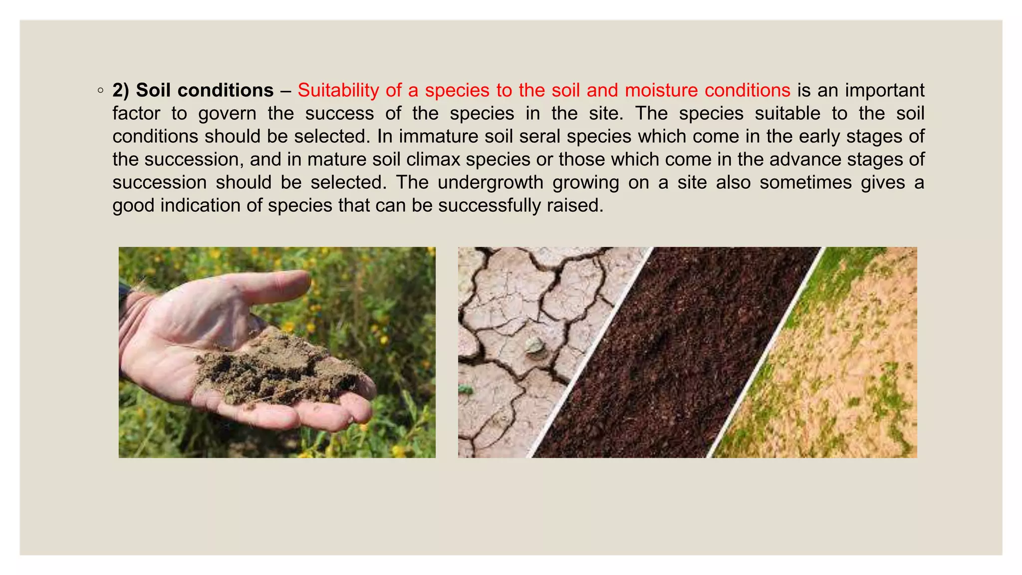 artificial regeneration.pptx