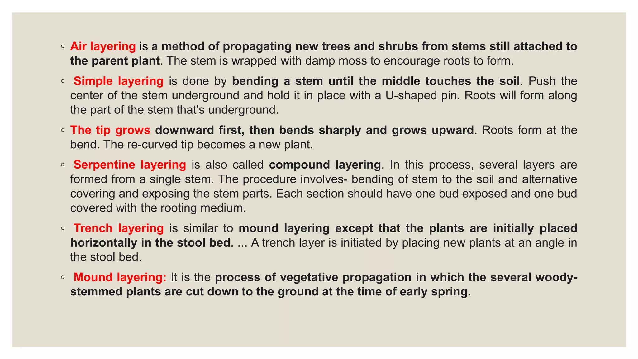 artificial regeneration.pptx