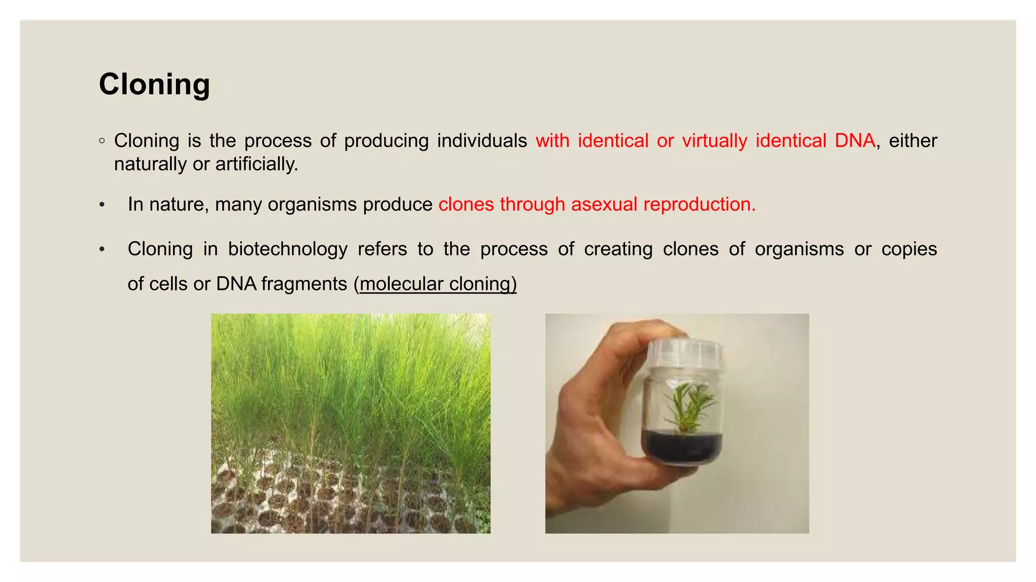 artificial regeneration.pptx