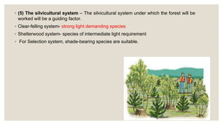 artificial regeneration.pptx