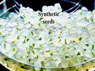 Artificial seed | PPTX