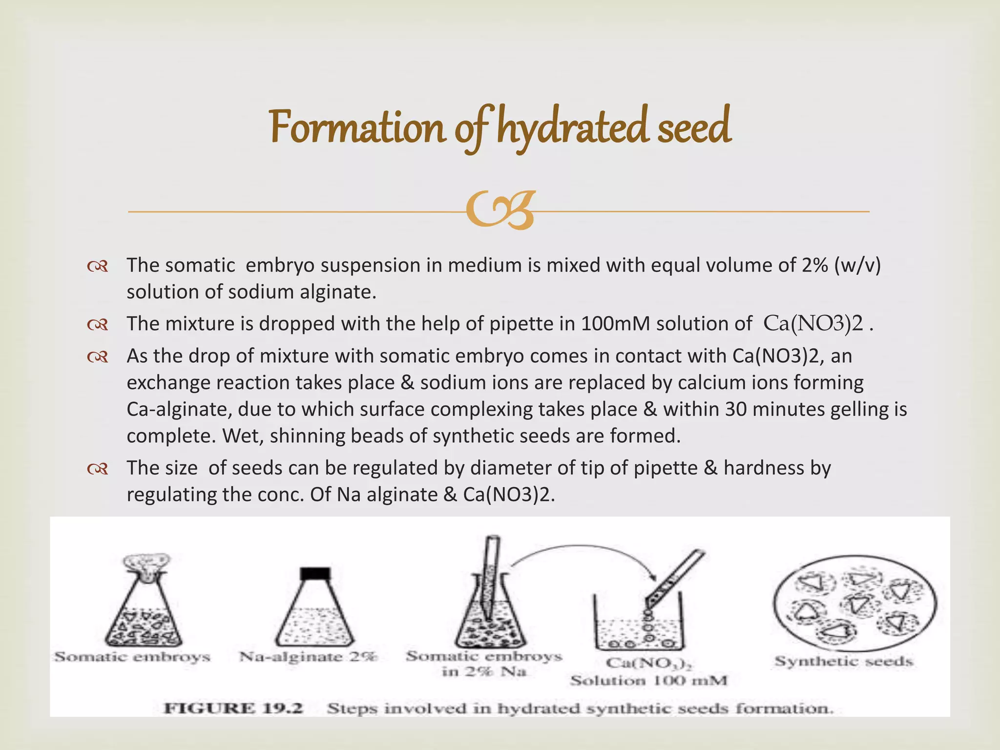 Artificial Seed - Definition, Types & Production | PPTX