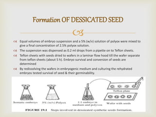 Artificial Seed - Definition, Types & Production | PPTX