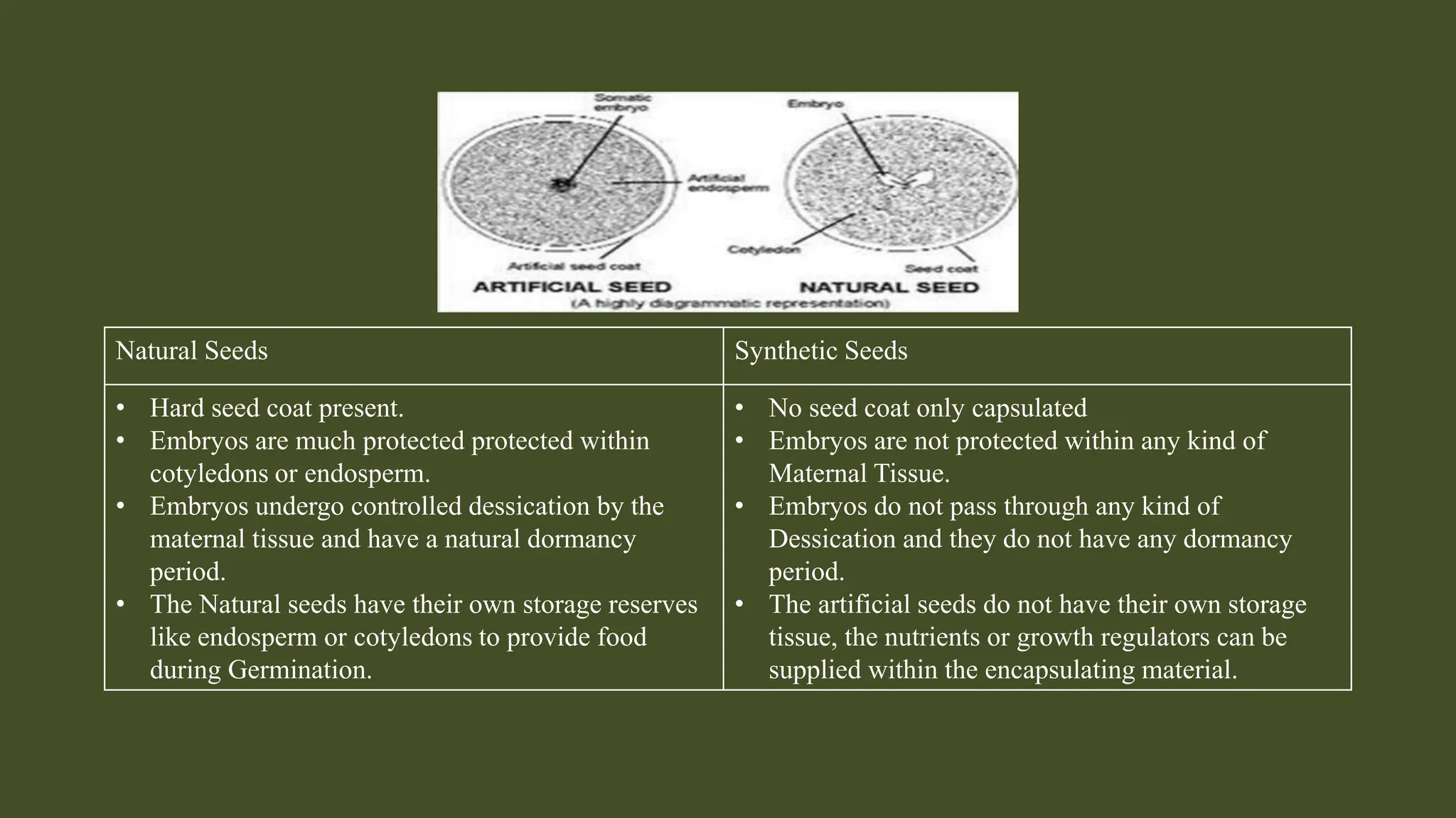 ARTIFICIAL SEEDS.pptx