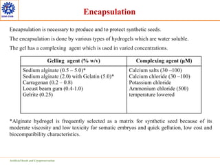 Artificial seeds and Cryopreservation.pptx