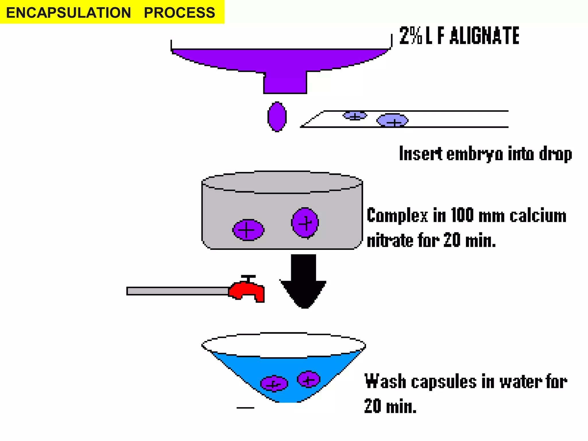 Artificial seed & and their application | PPT